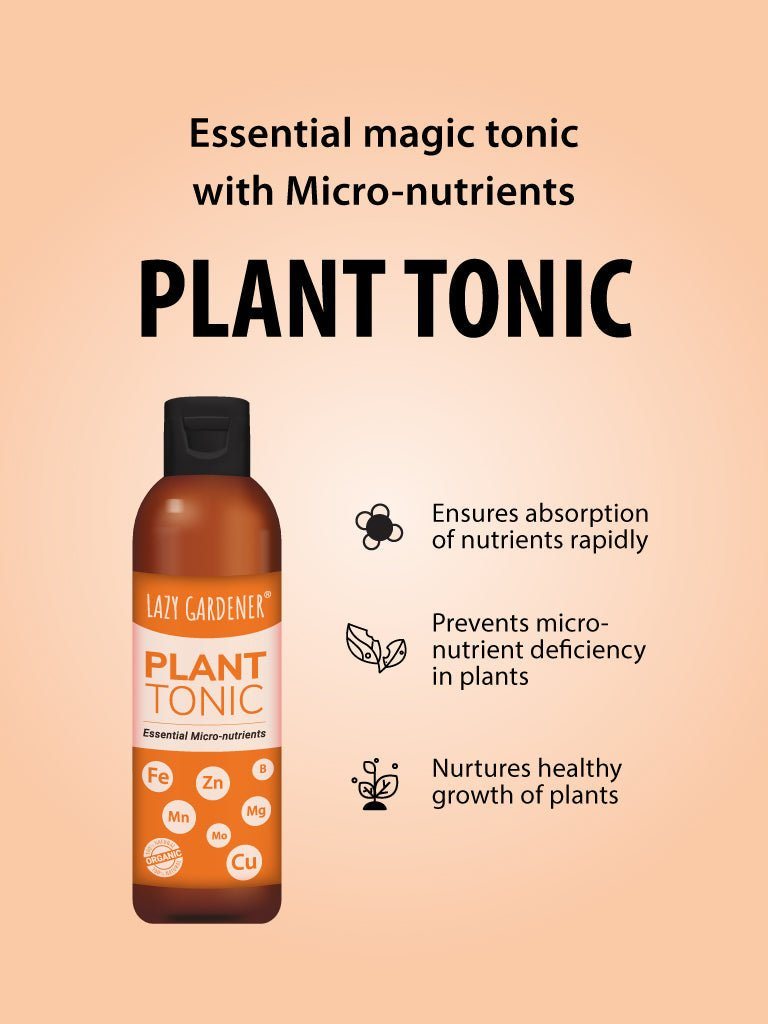 Plant Tonic Liquid for Healthy Plants – Lazy Gardener - Online ...